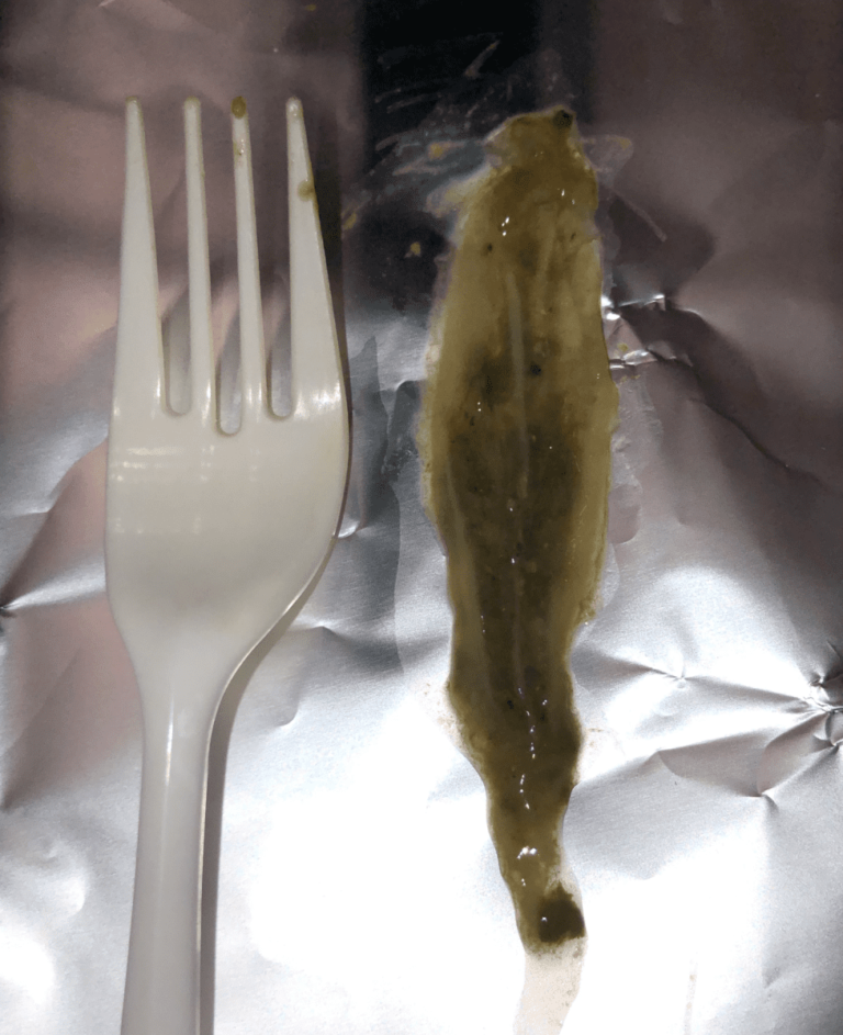 Intestinal Flukes - Live Disease Free